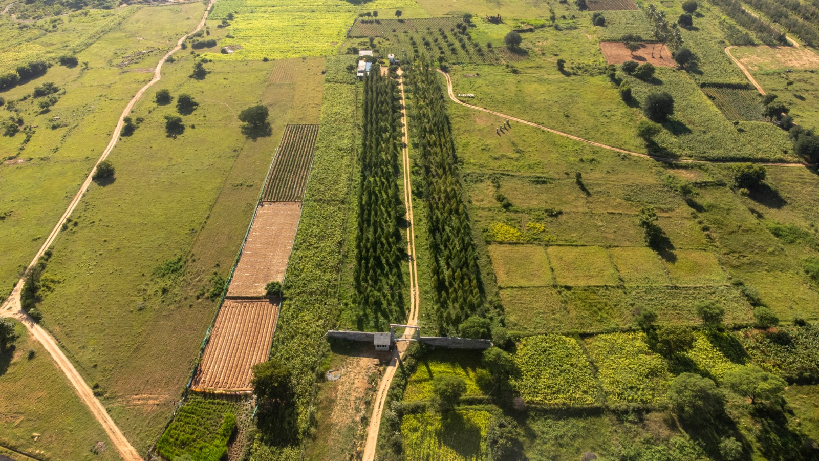 How to Choose the Best Managed Farmland - Utopiaa