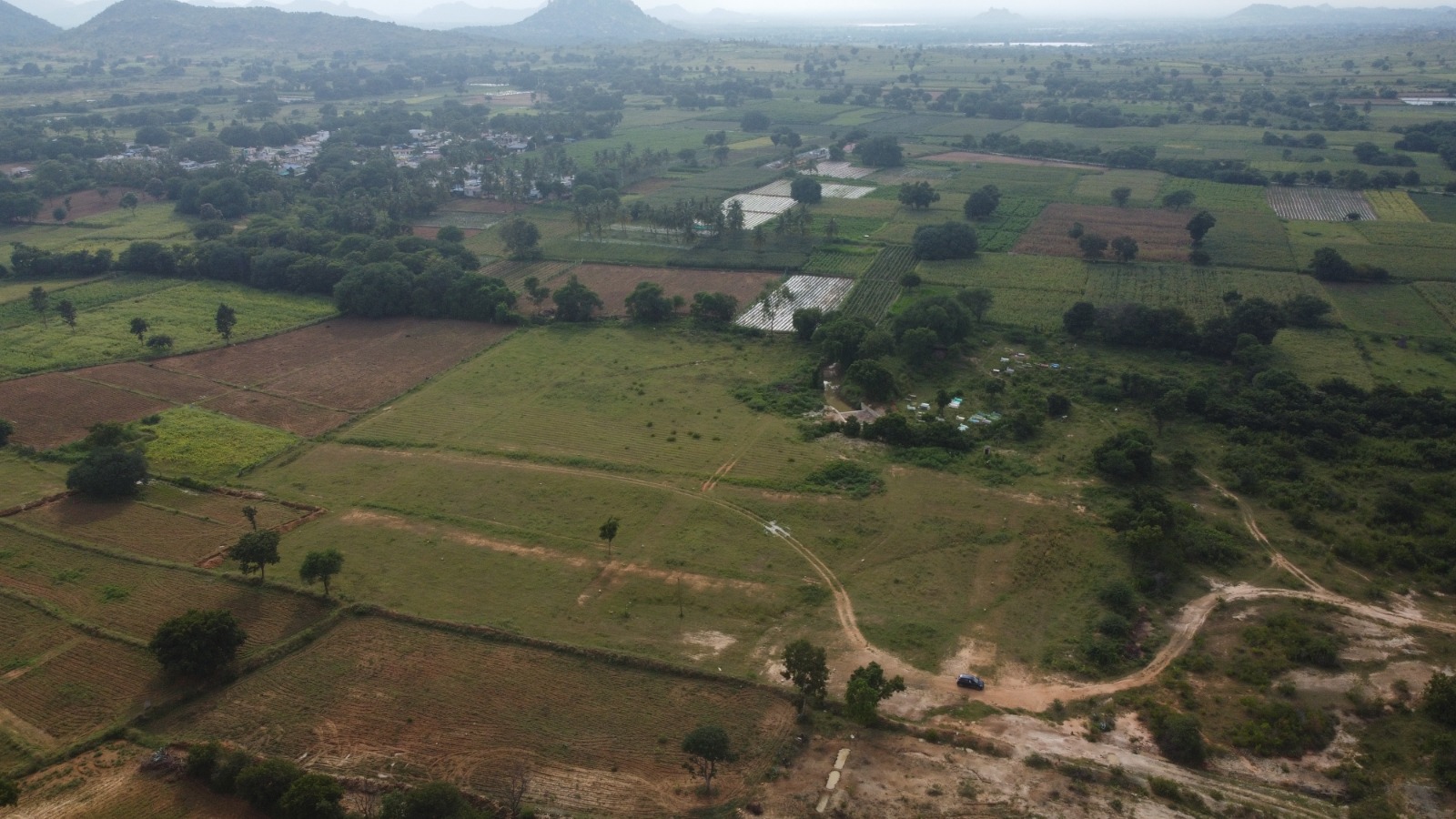 Major Mistakes to Avoid While Investing in Managed Farmland